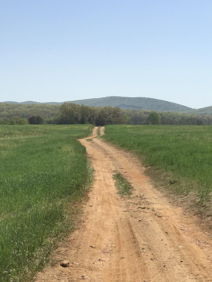 Oak Ridge Overland Experience