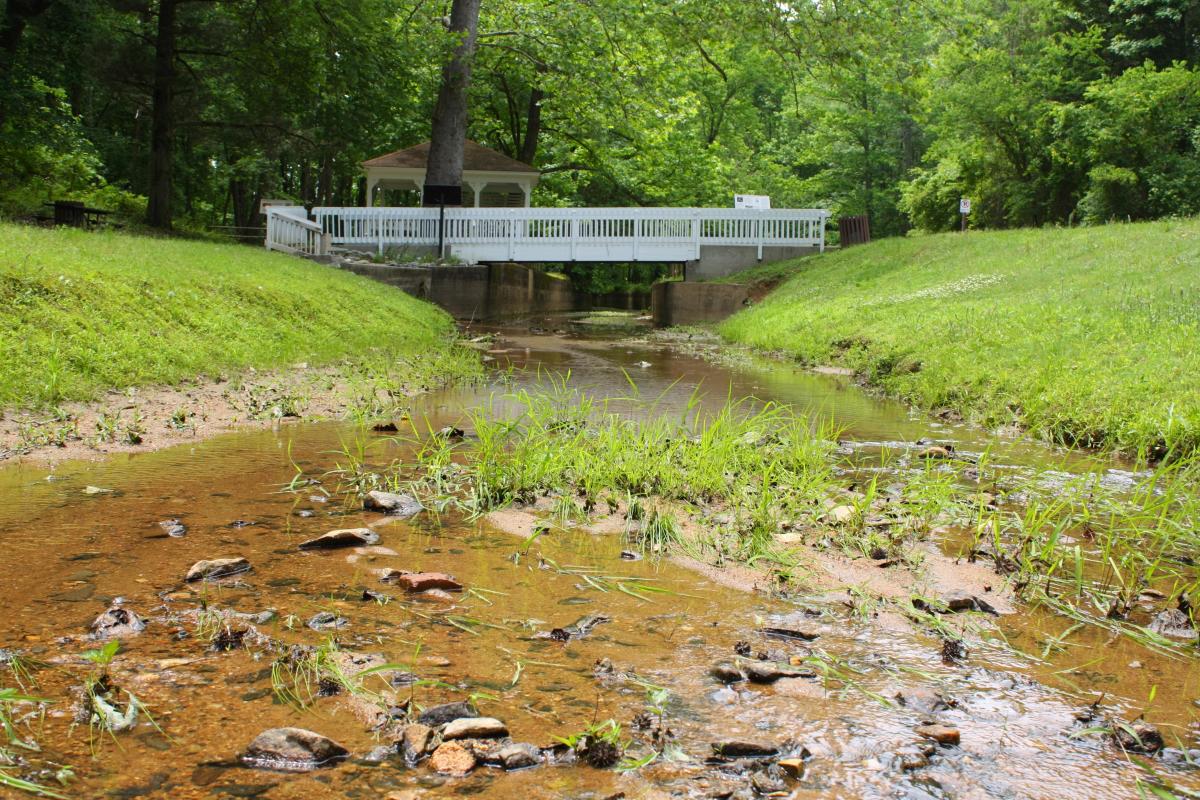 Buffalo Springs