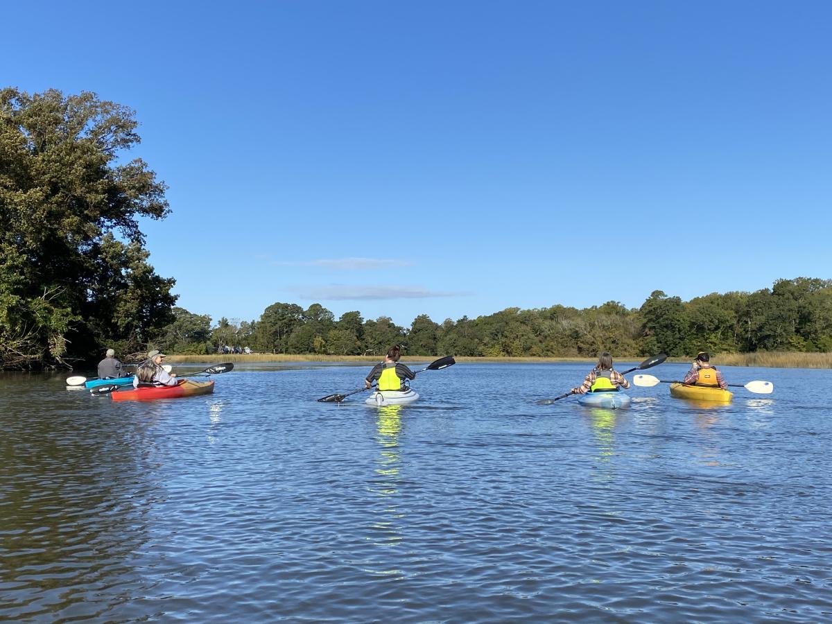 Bennett’s Creek Kayak Excursion