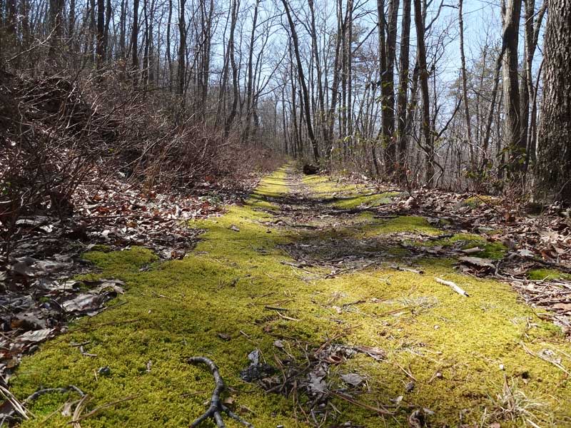 Kepler Overlook Hike