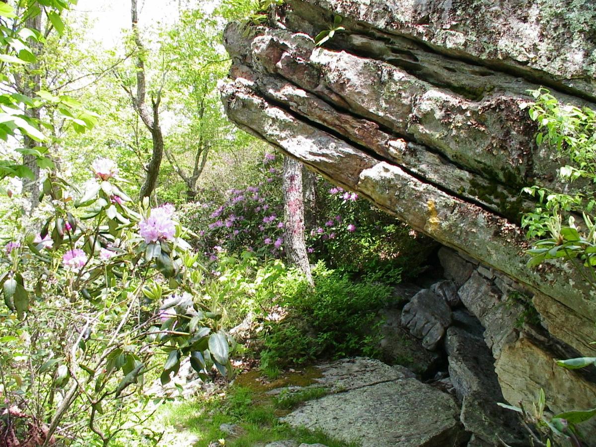 Monster Rock Hiking Trail
