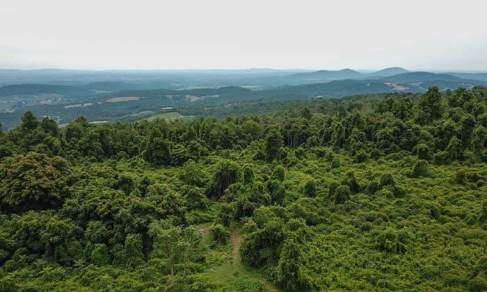 G. Richard Thompson Wildlife Management