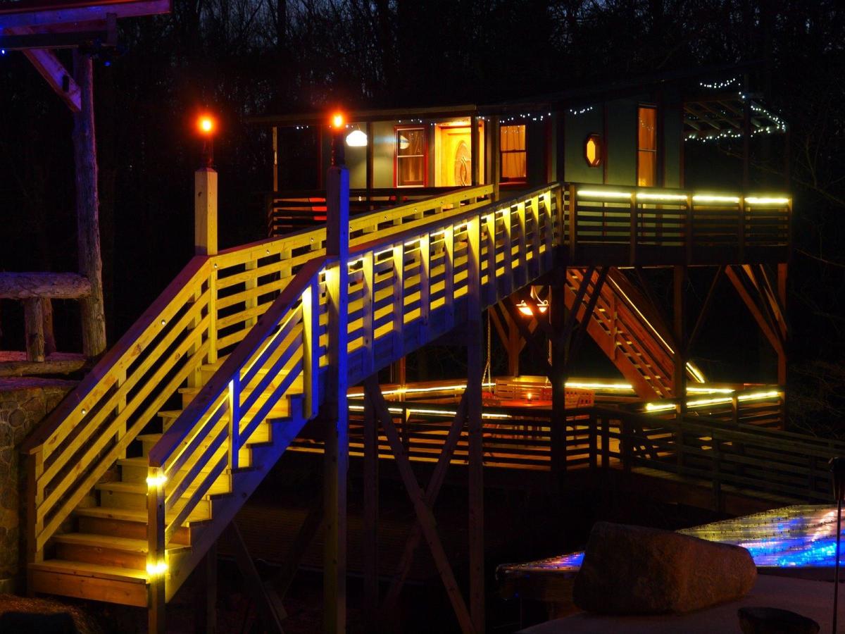 Tree House & Skywalk - by David Clark