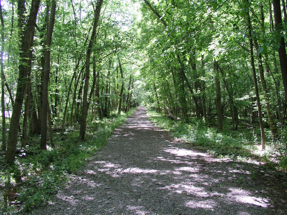 Cameron Run Regional Park