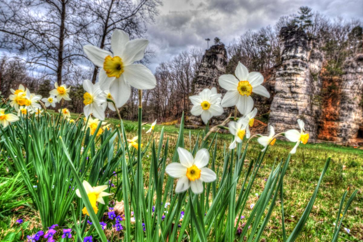 Natural Chimneys Park and Campground