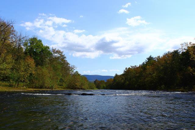 Front Royal Outdoors/Shenandoah River Trips