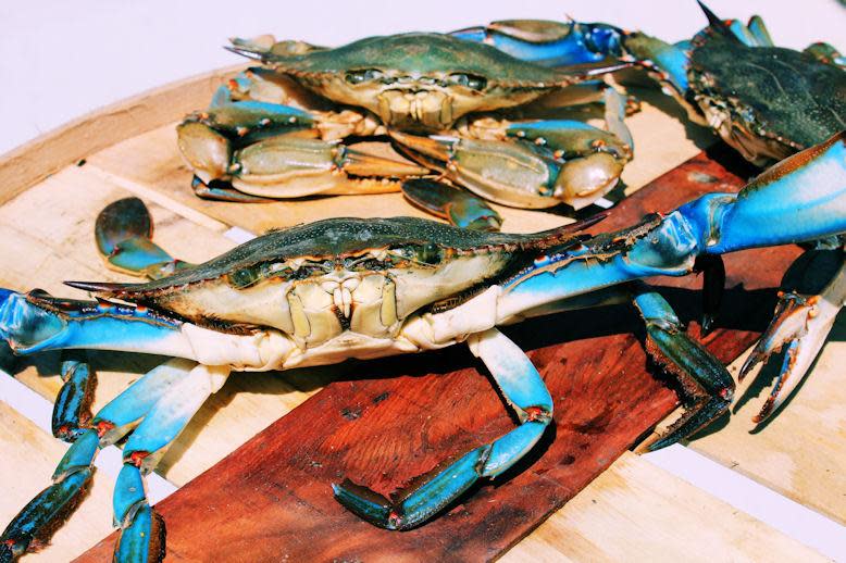 Wickers Crab Pot Seafood