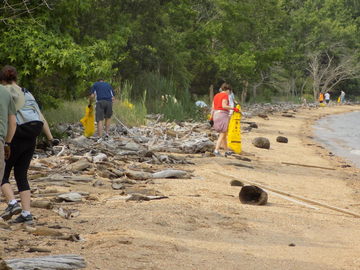 Clean the Bay Day at Virginia State Parks