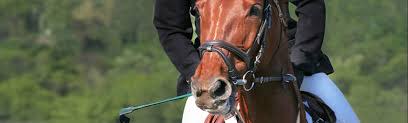 Changing Reins