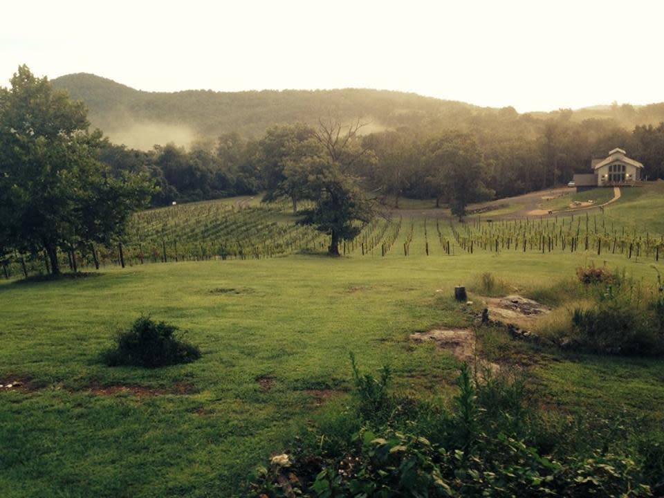 Cobbler Mountain Cellars