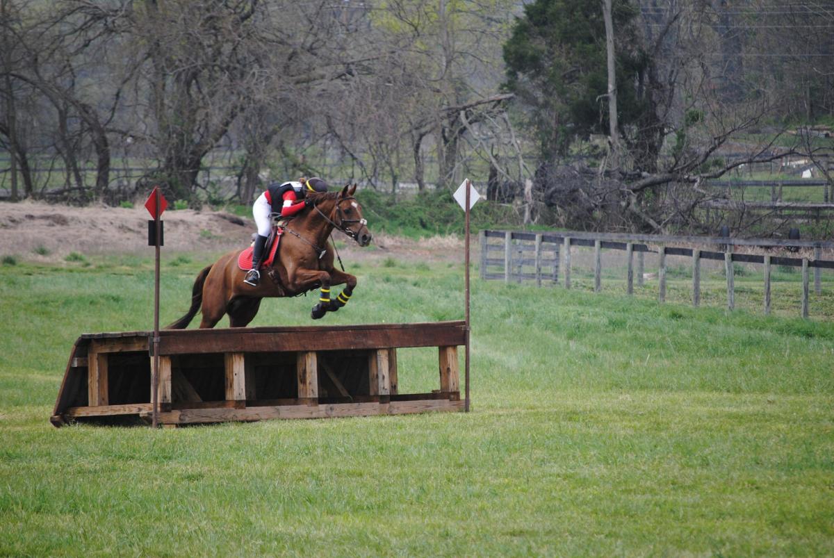 Morven Park International Equestrian Center