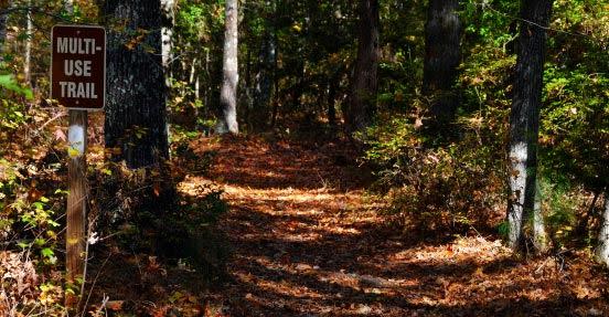 Washington-Lacy Park