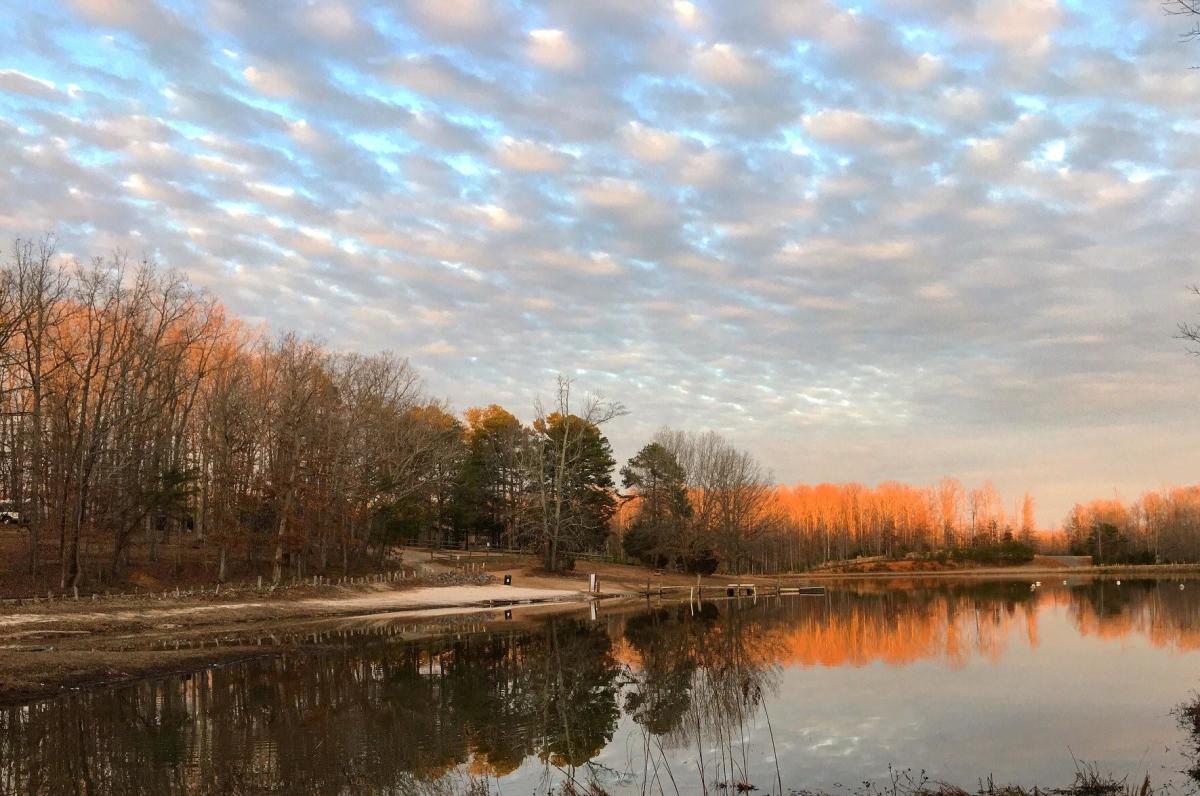 Small Country Campground in Louisa, Virginia