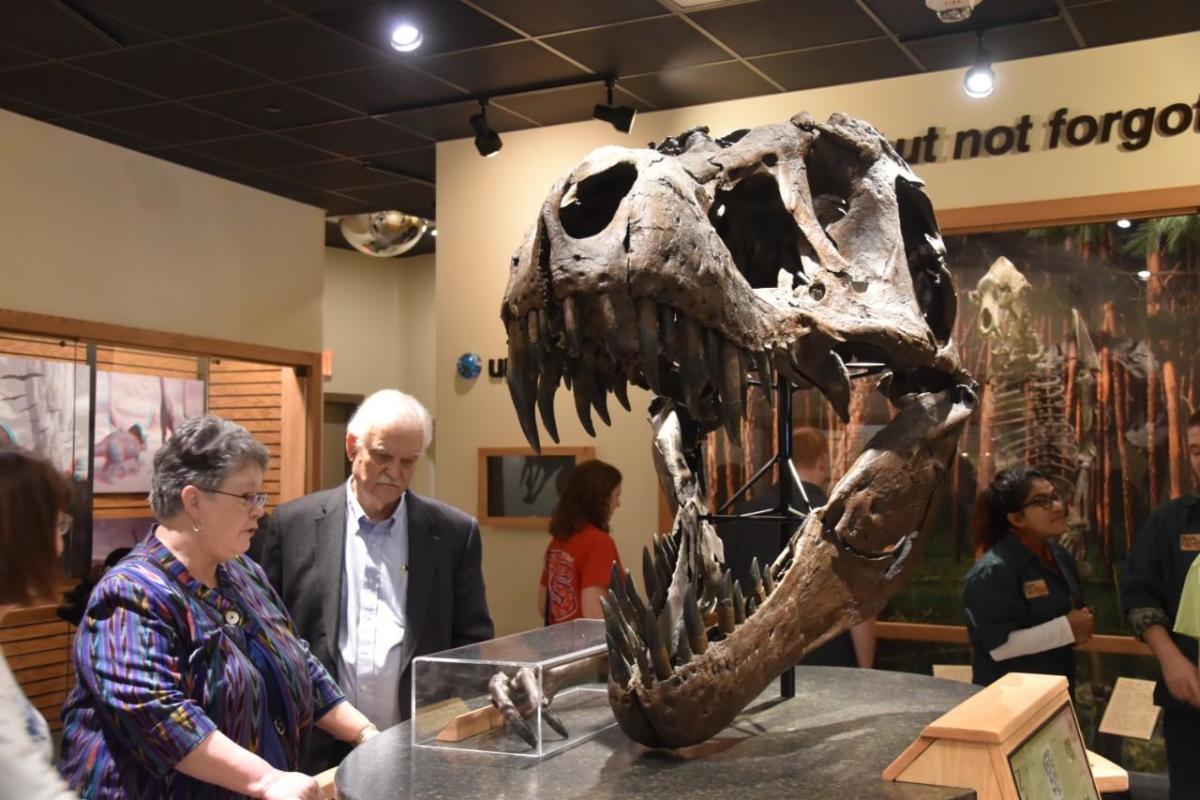 Museum of the Earth Sciences at Radford University