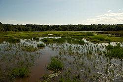 Huntley Meadows Park