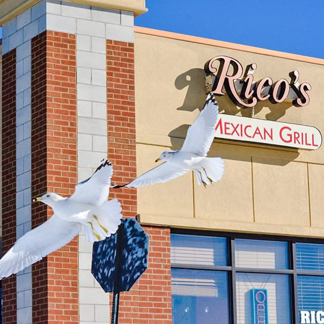 Rico's Mexican Grill-Mechanicsville