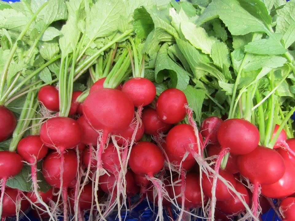 Forest Farmers Market LLC