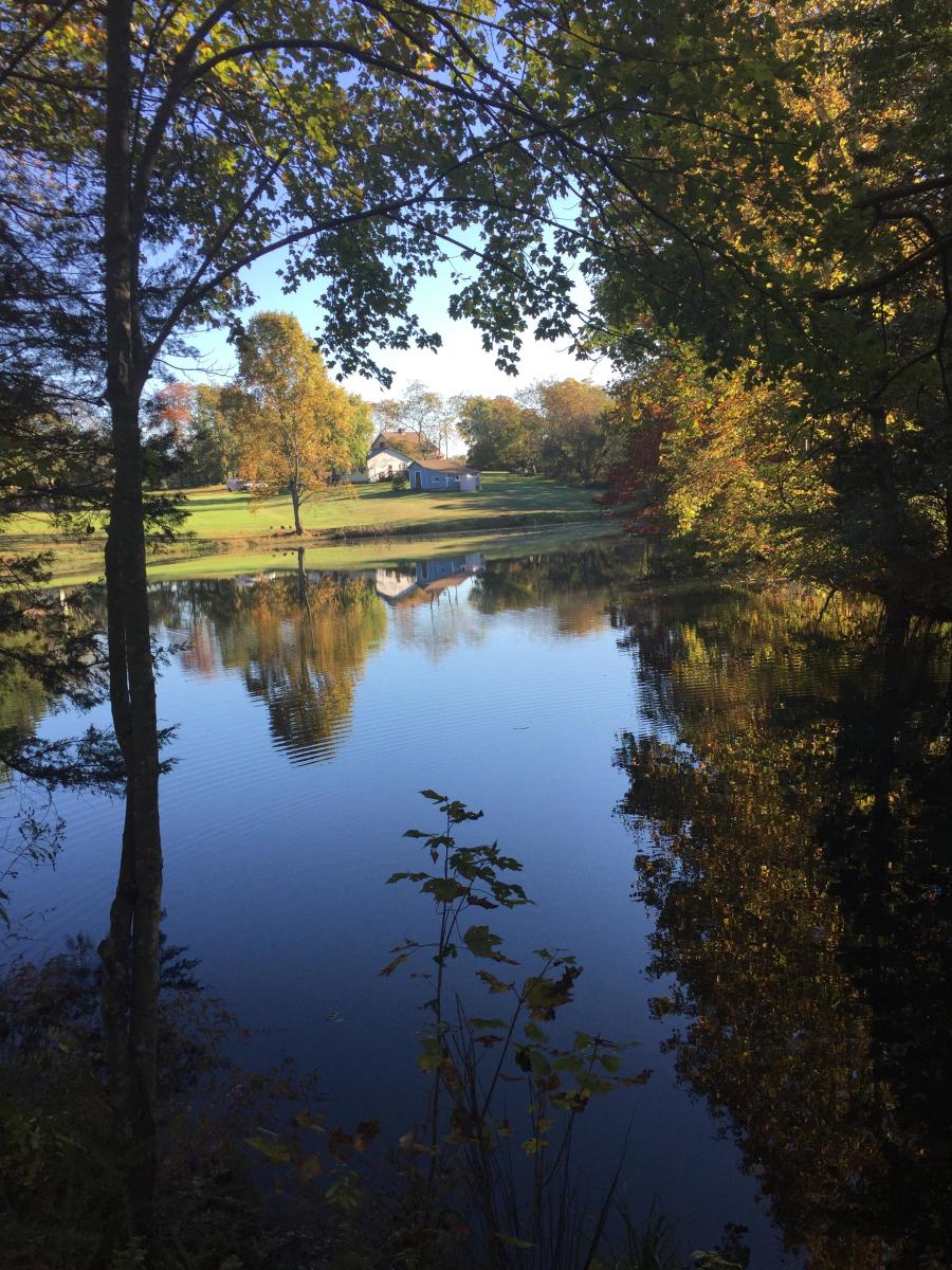 Spring Haven Farm Fishing
