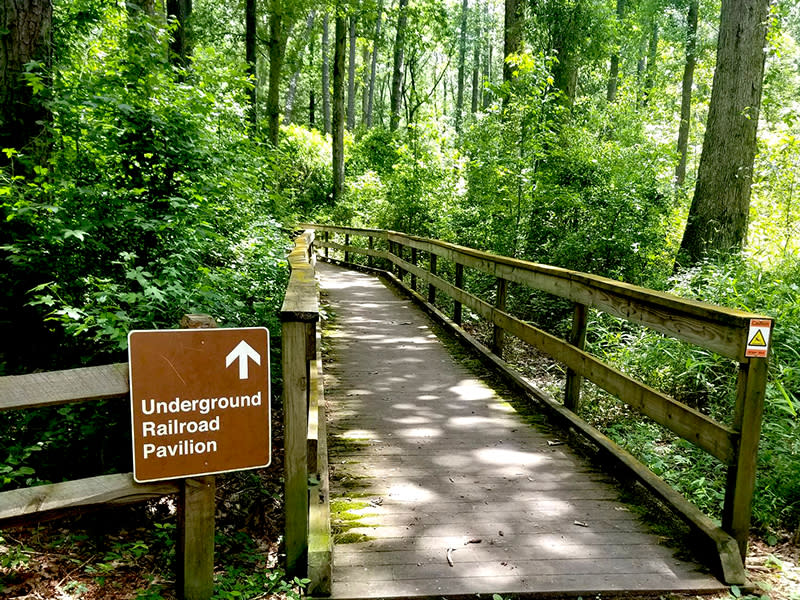 Great Dismal Swamp’s Underground Railroad Pavilion Tour
