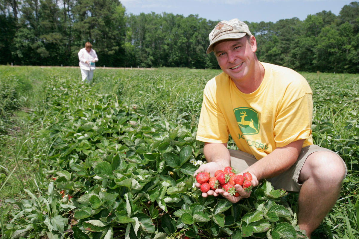 Vaughan Farms' Produce