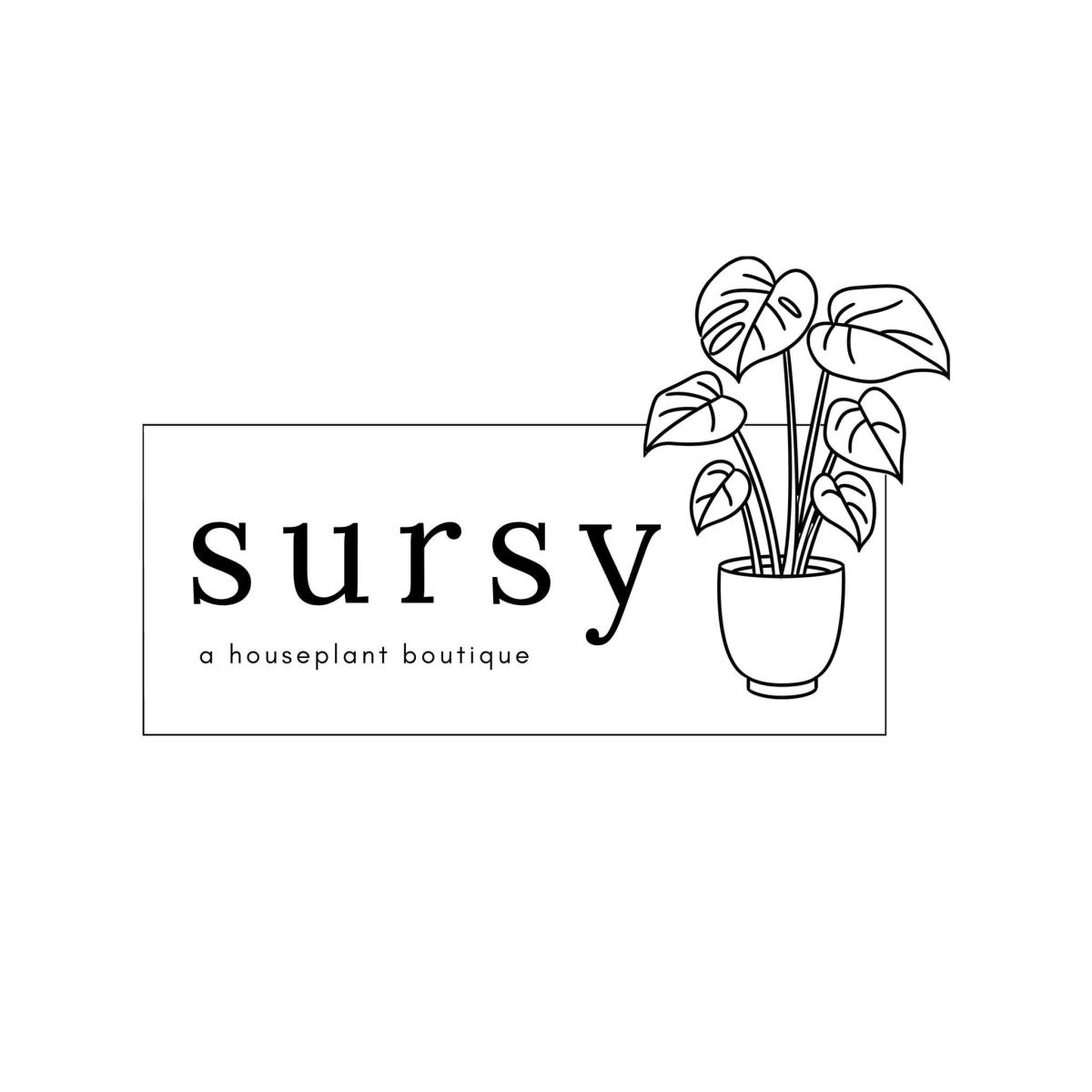 Sursy Boutique