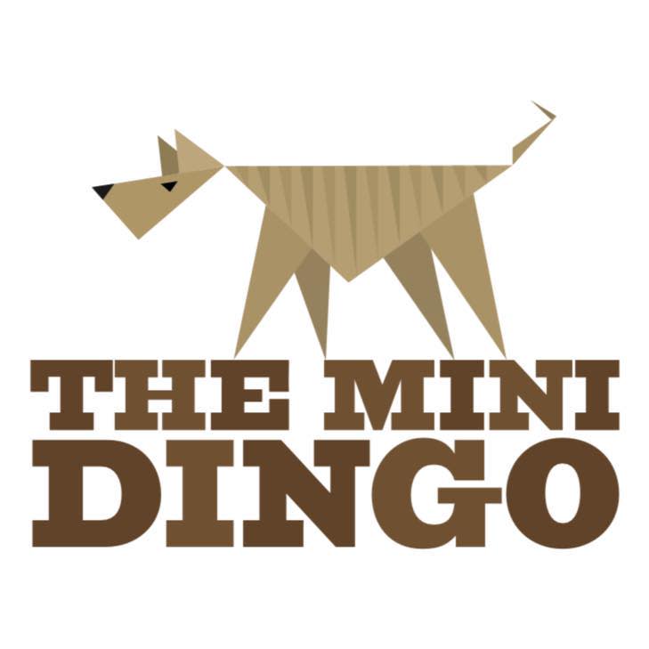 The Mini Dingo
