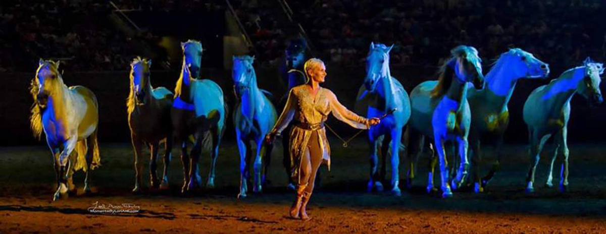 horse circus performance