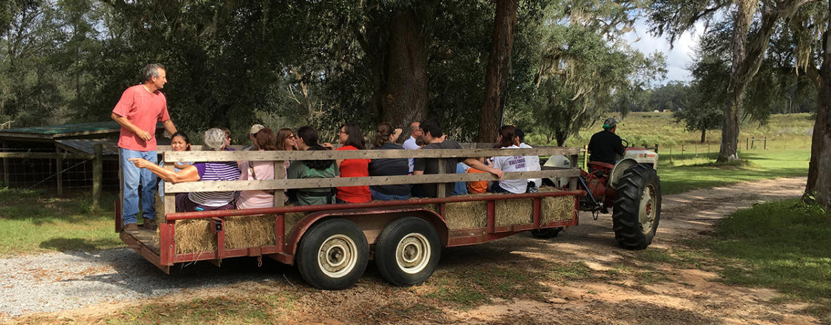 Golden Acres Ranch, LLC in Monticello | VISIT FLORIDA