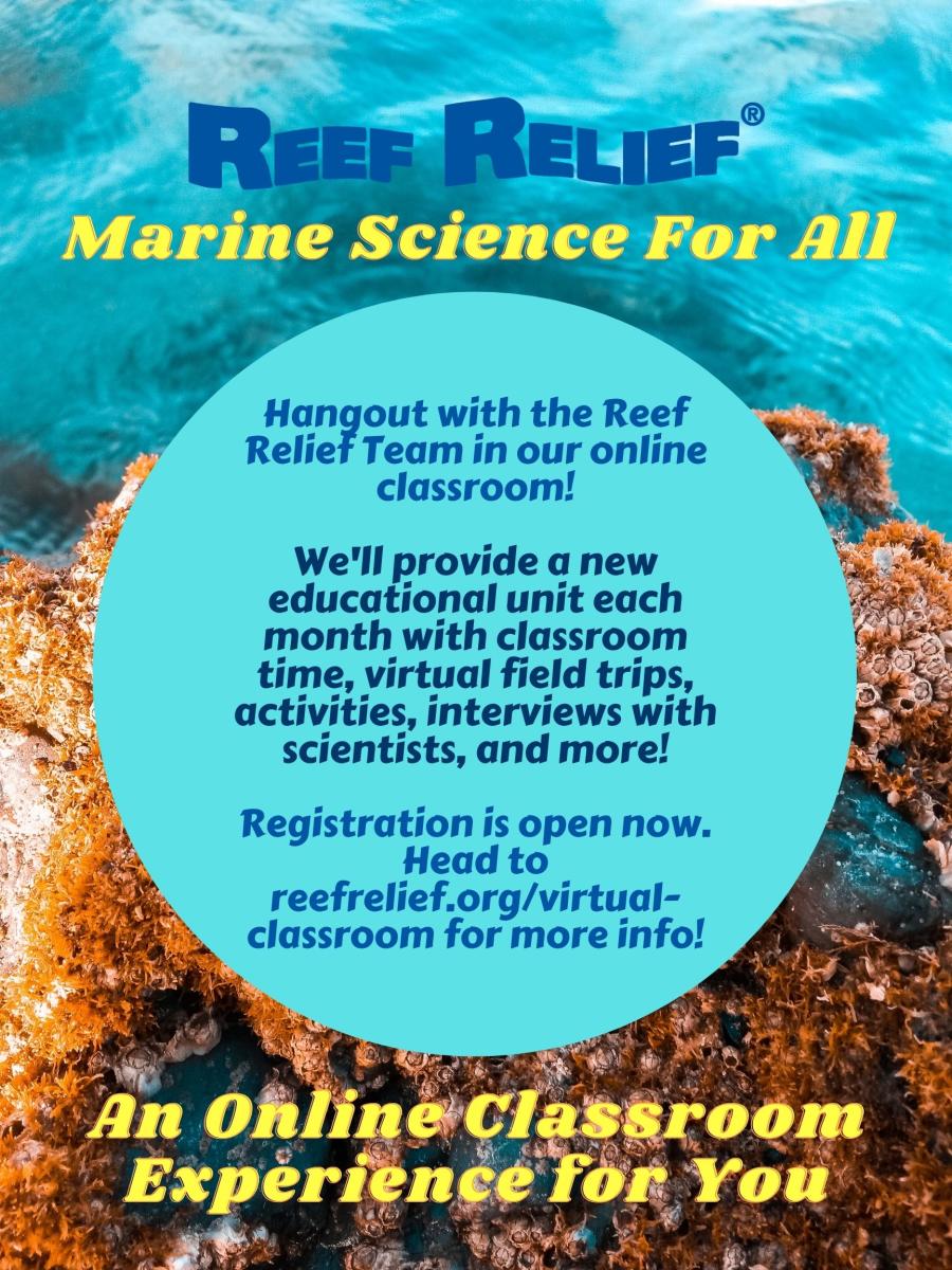 Reef Relief in Key West | VISIT FLORIDA