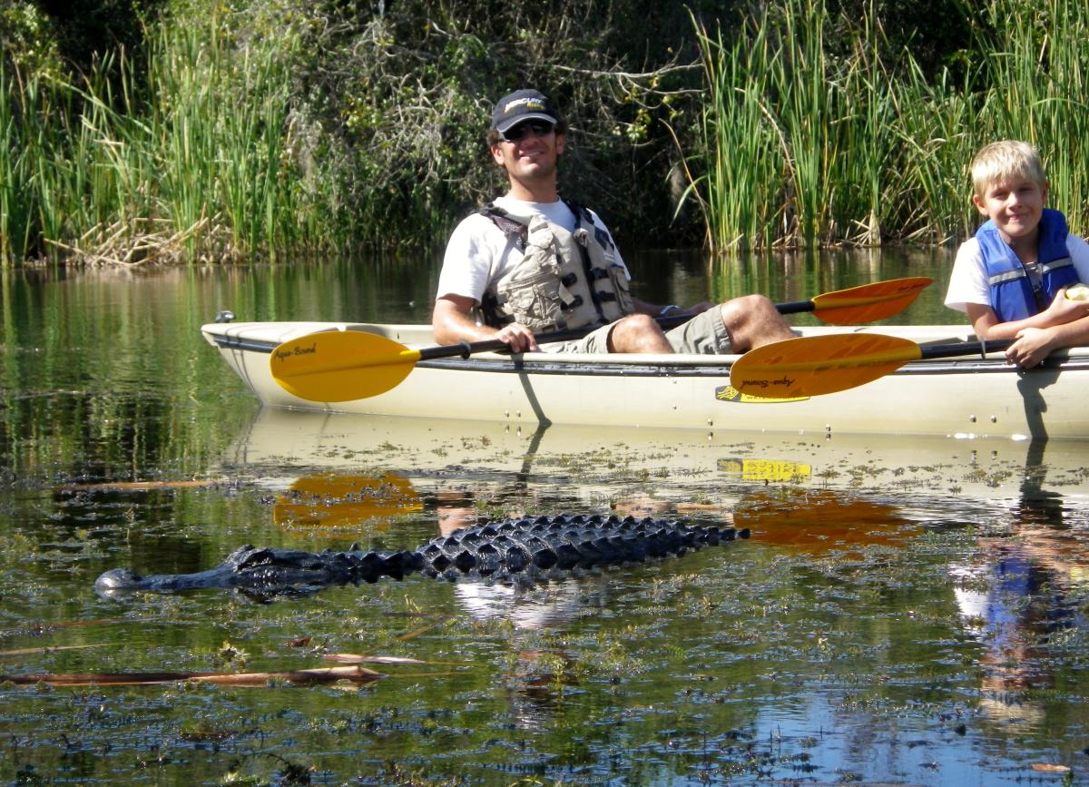 Everglades Area Tours in Chokoloskee Island | VISIT FLORIDA