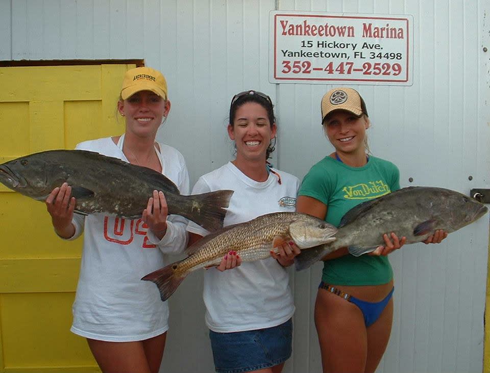 Yankeetown Marina in Yankeetown | VISIT FLORIDA