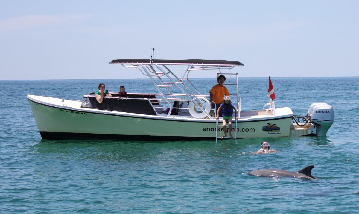 Flippers in Panama City Beach | VISIT FLORIDA