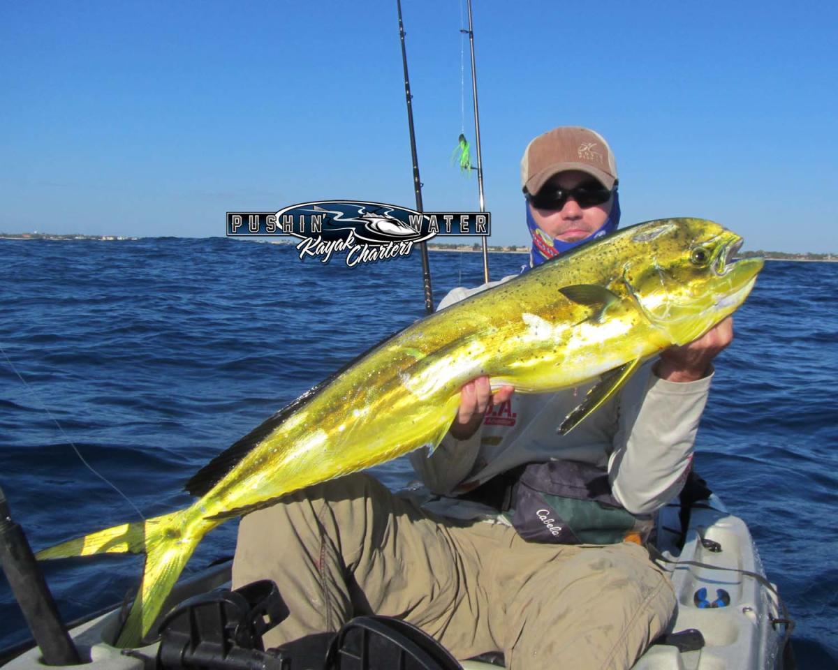 Pushin' Water Kayak Charters in Palm Beach Gardens | VISIT FLORIDA