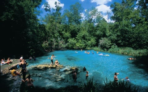 Visit Natural North Florida in Gainesville | VISIT FLORIDA