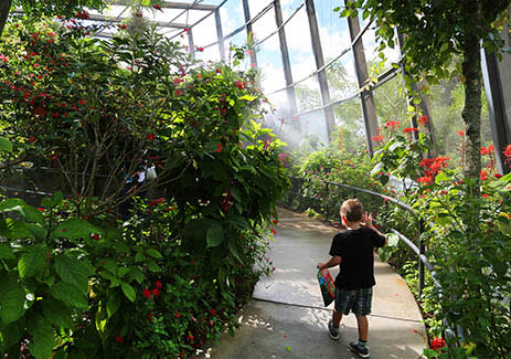 Butterfly World in Coconut Creek | VISIT FLORIDA
