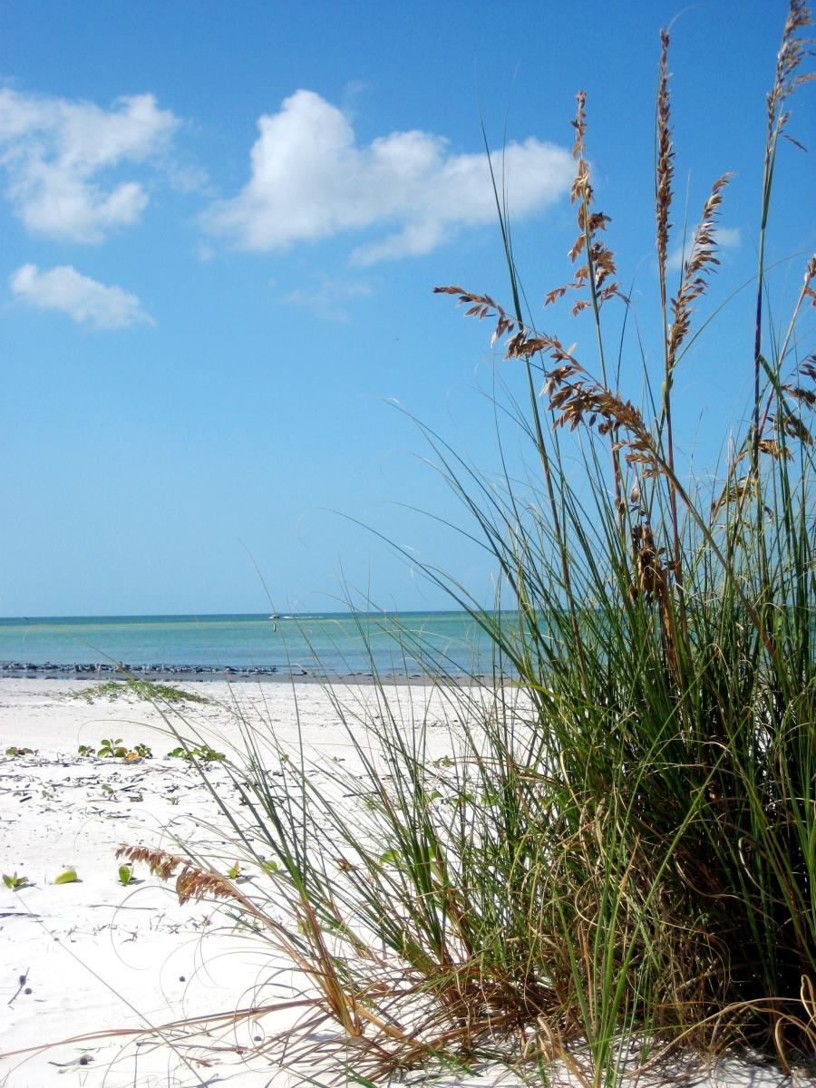 Lovers Key State Park in Fort Myers Beach | VISIT FLORIDA