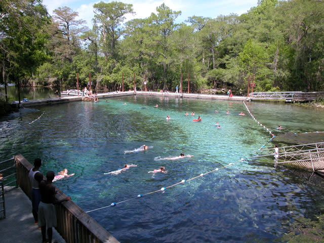 Fanning Springs State Park in Fanning Springs | VISIT FLORIDA