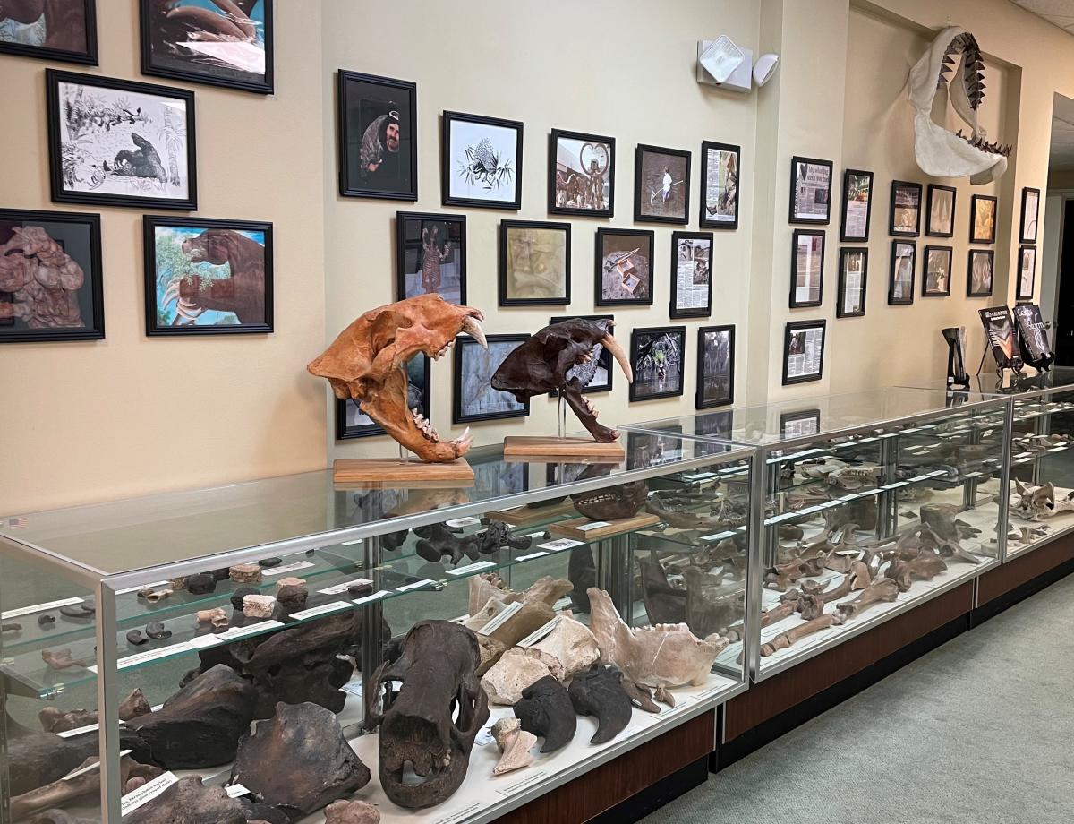 Clewiston Museum in Clewiston | VISIT FLORIDA