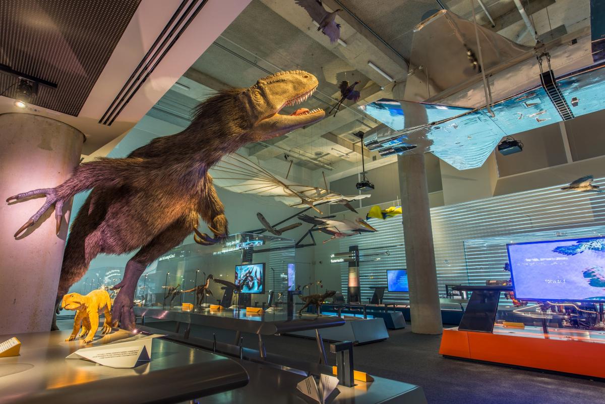 The Phillip and Patricia Frost Museum of Science in Miami | VISIT FLORIDA