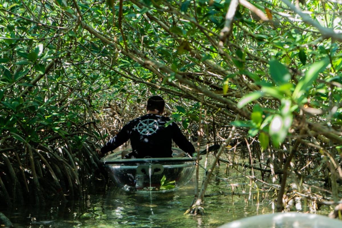 Get Up and Go Kayaking - The Keys in Sugarloaf Key | VISIT FLORIDA