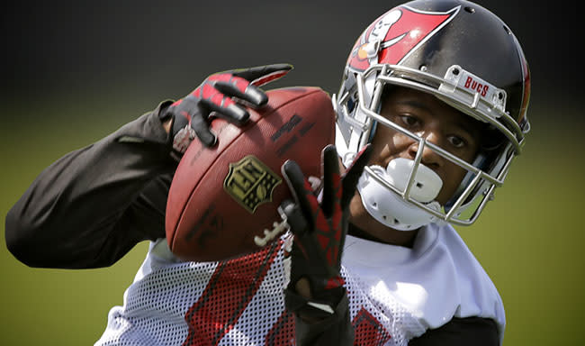 Tampa Bay Buccaneers in Tampa | VISIT FLORIDA