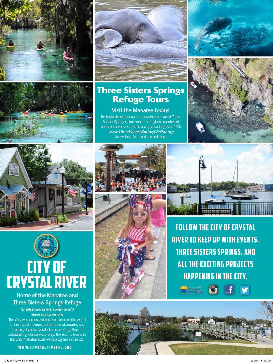 Three Sisters Springs in Crystal River | VISIT FLORIDA