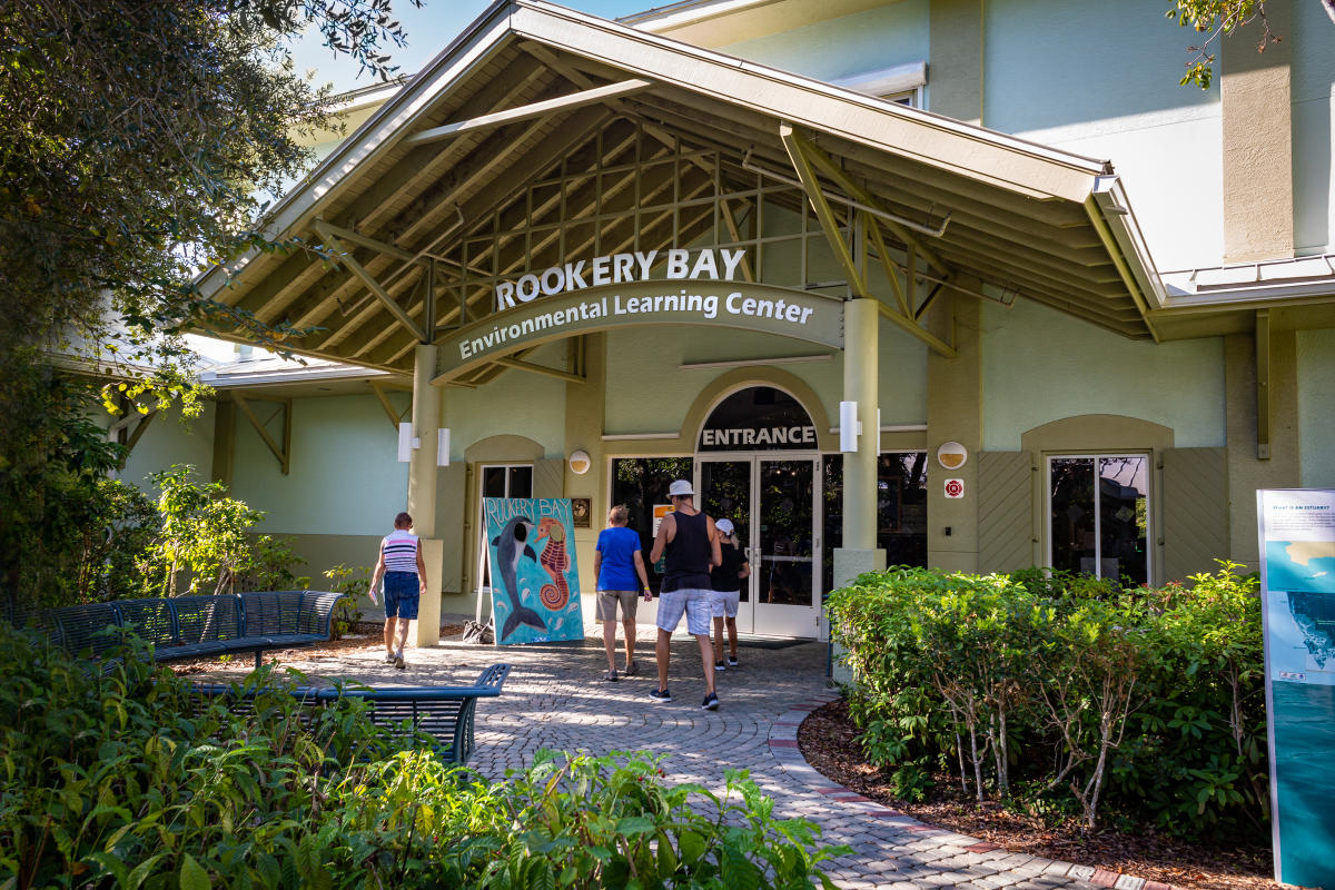Rookery Bay Environmental Learning Center in Naples | VISIT FLORIDA