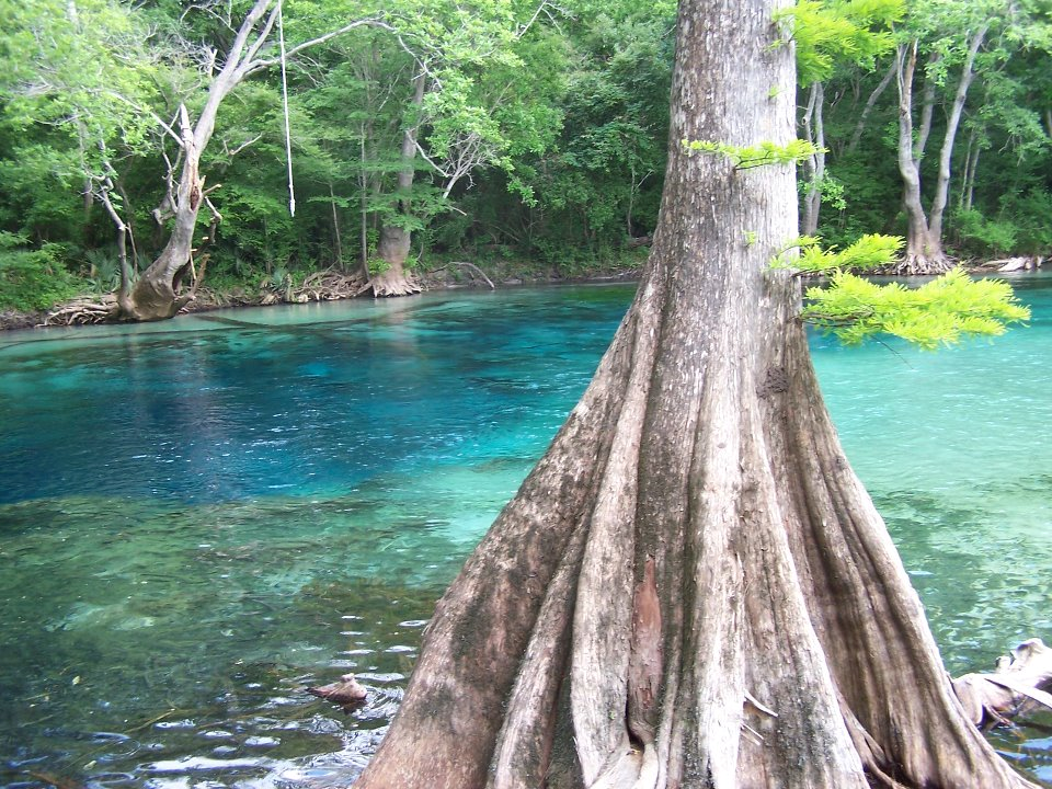 The Washington County Tourist Development Council in Chipley | VISIT ...