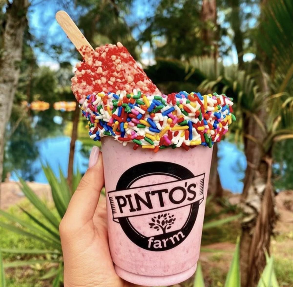 Pinto's Farm in Miami | VISIT FLORIDA