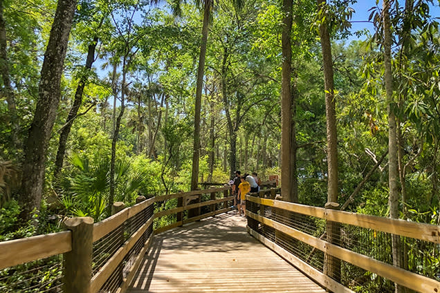 Homosassa Springs Wildlife Adventures in Homosassa | VISIT FLORIDA