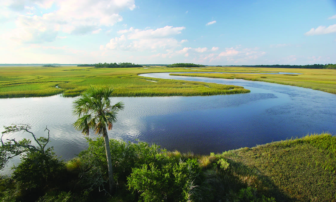 Guana River Wildlife Management Area Trails in Ponte Vedra Beach ...
