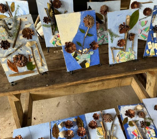 Rookery Bay Nature Collage in Naples | VISIT FLORIDA