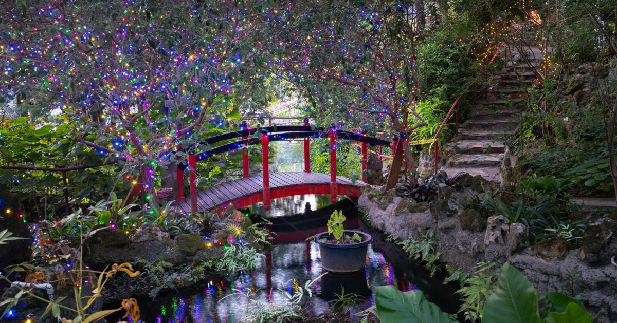 Cedar Lakes Woods and Gardens Christmas in the Quarry in Williston ...