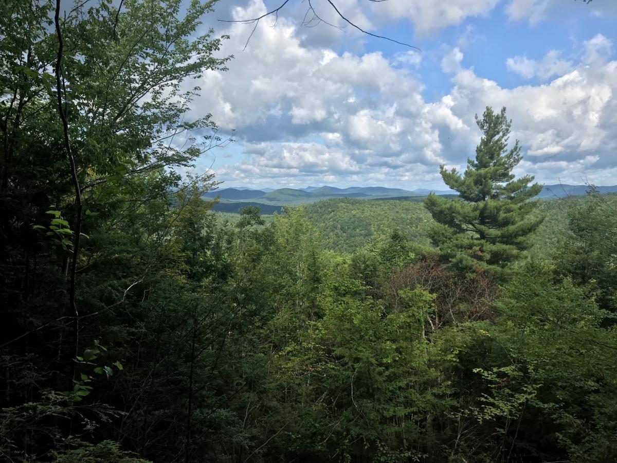 Fox Hill Trail